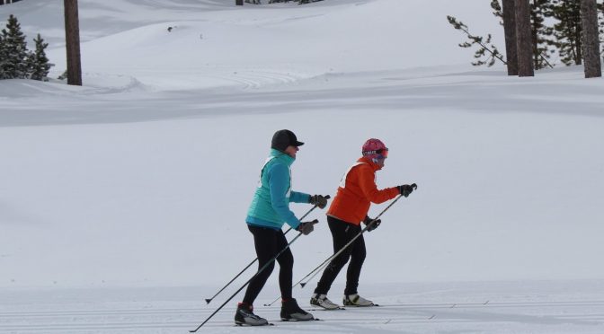 July | 2020 | Eyes On Success with hosts Peter and Nancy Torpey